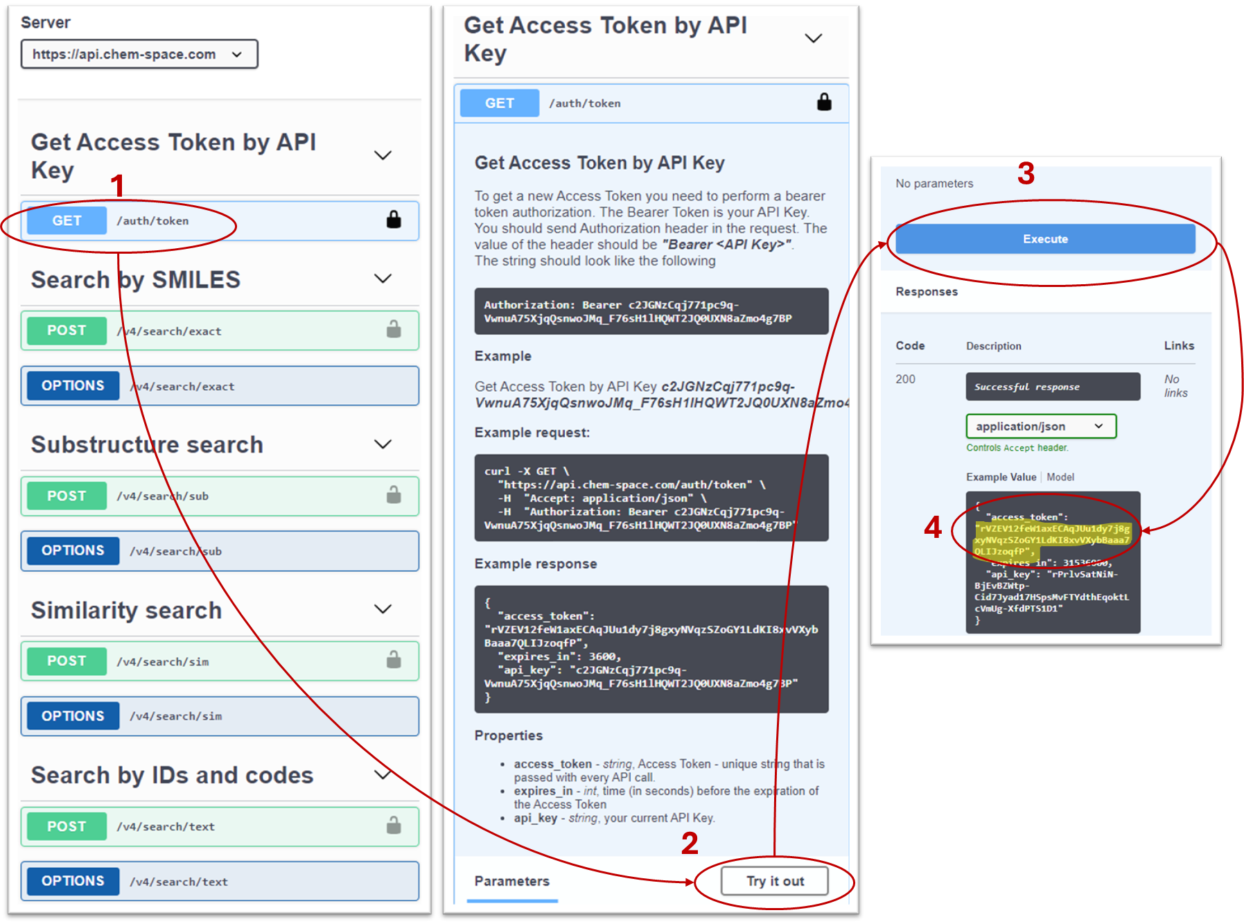 Client API documentation
