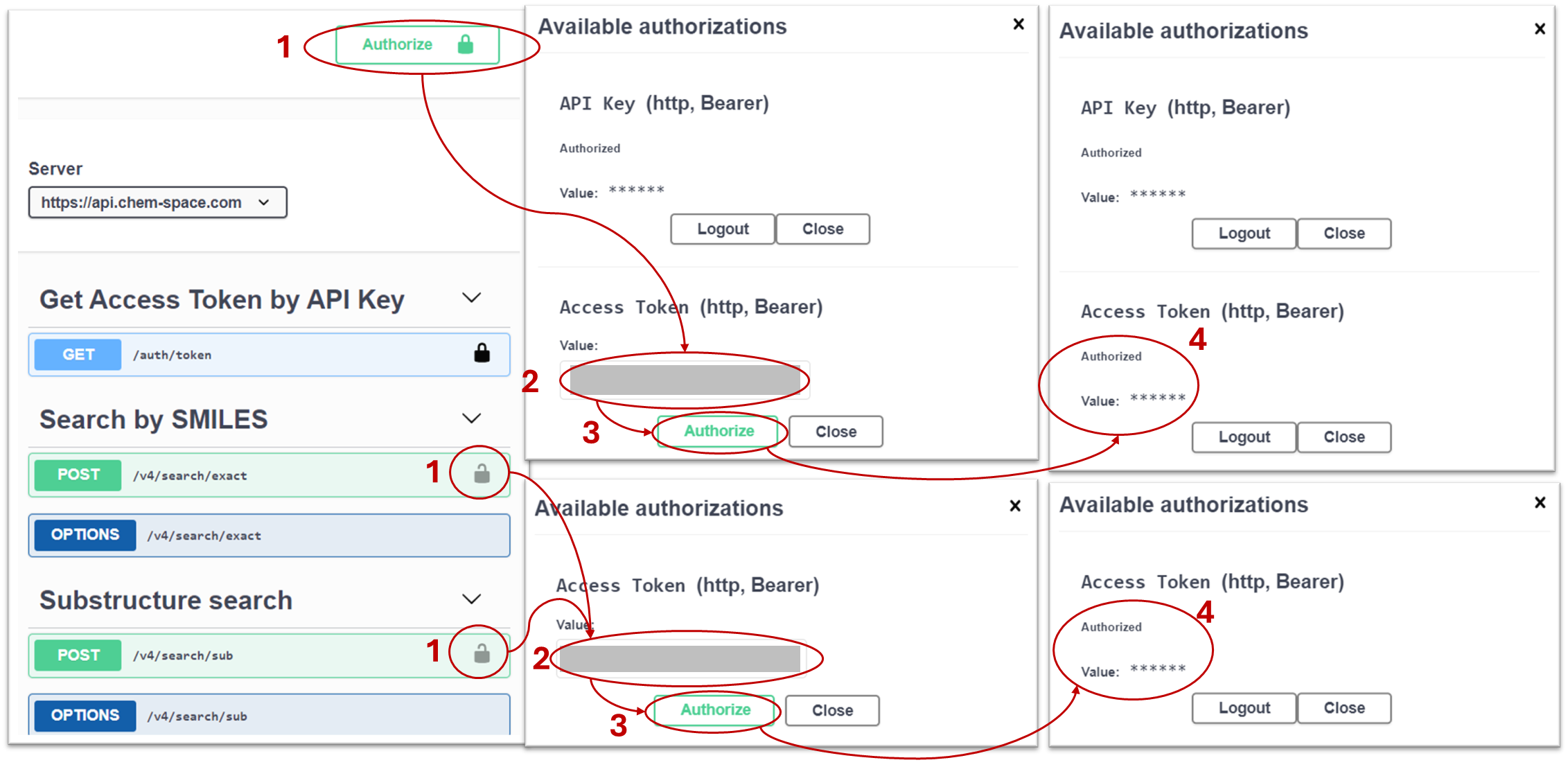 Client API documentation